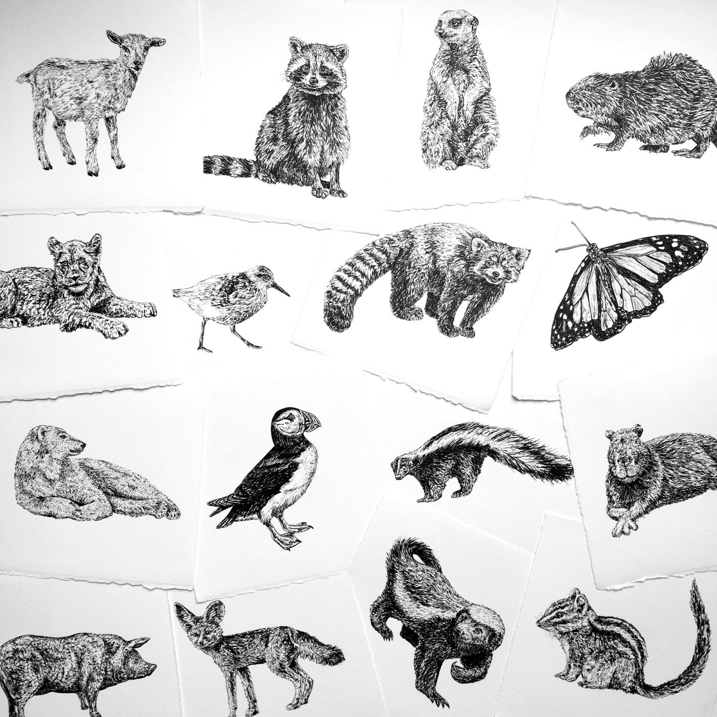 100 INK ANIMALS – BOOOOOOOM! – CREATE * INSPIRE * COMMUNITY * ART ...
