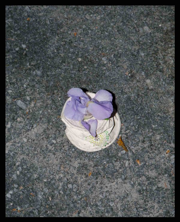 "Hanafuda" by Photographer Will Matsuda