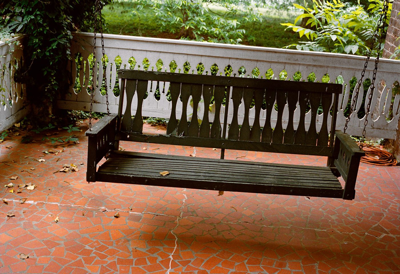 Photographer Spotlight: Tatum Shaw