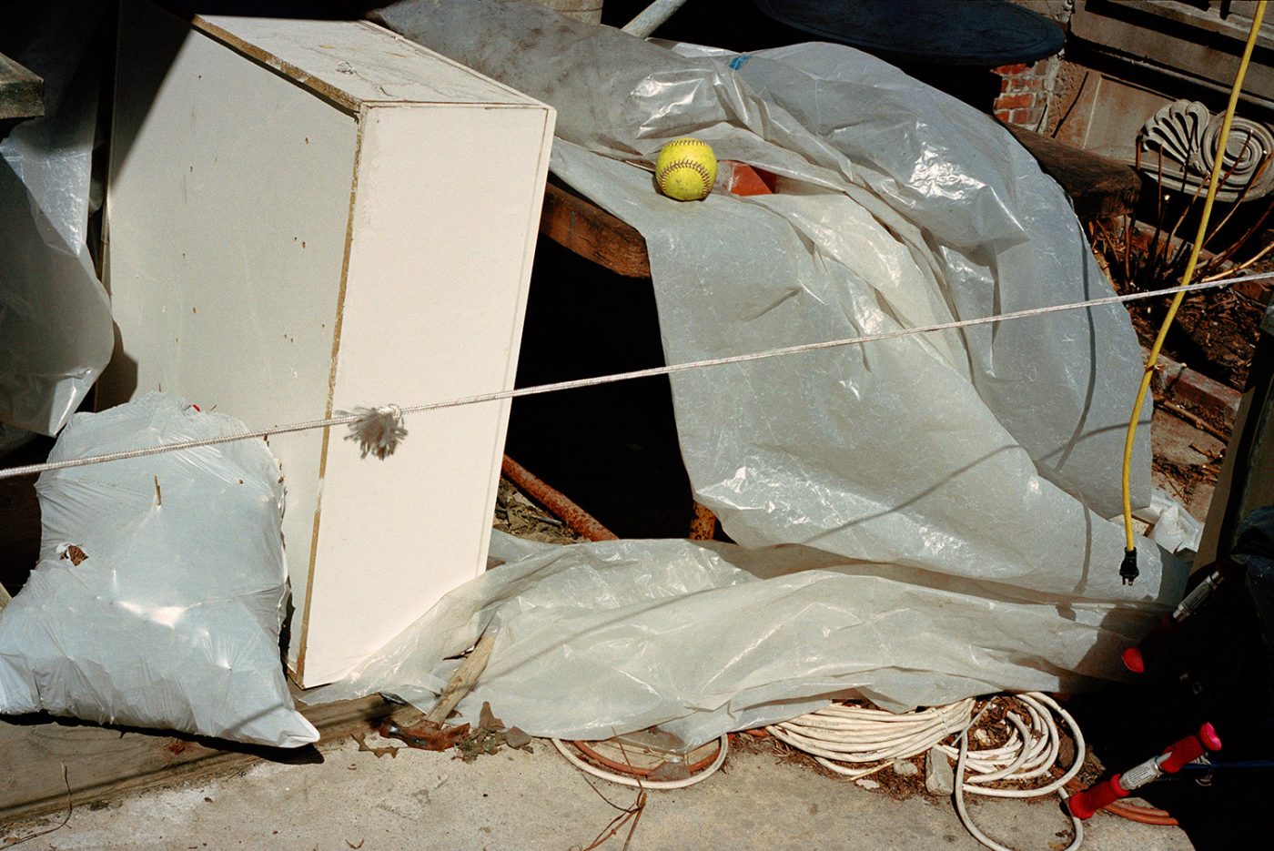 Photographer Spotlight: Tatum Shaw