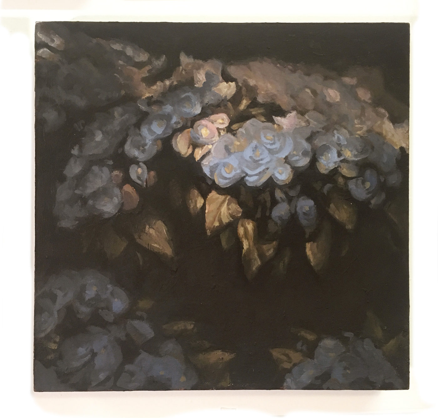 Zach Atticus – Perennials – BOOOOOOOM! – CREATE * INSPIRE * COMMUNITY ...