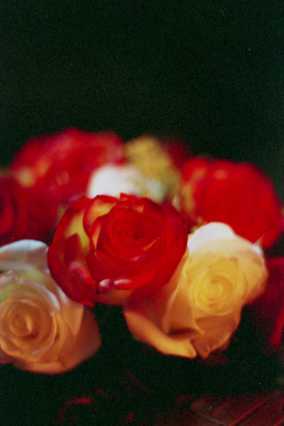 The Color of Love – BOOOOOOOM! – CREATE * INSPIRE * COMMUNITY * ART ...