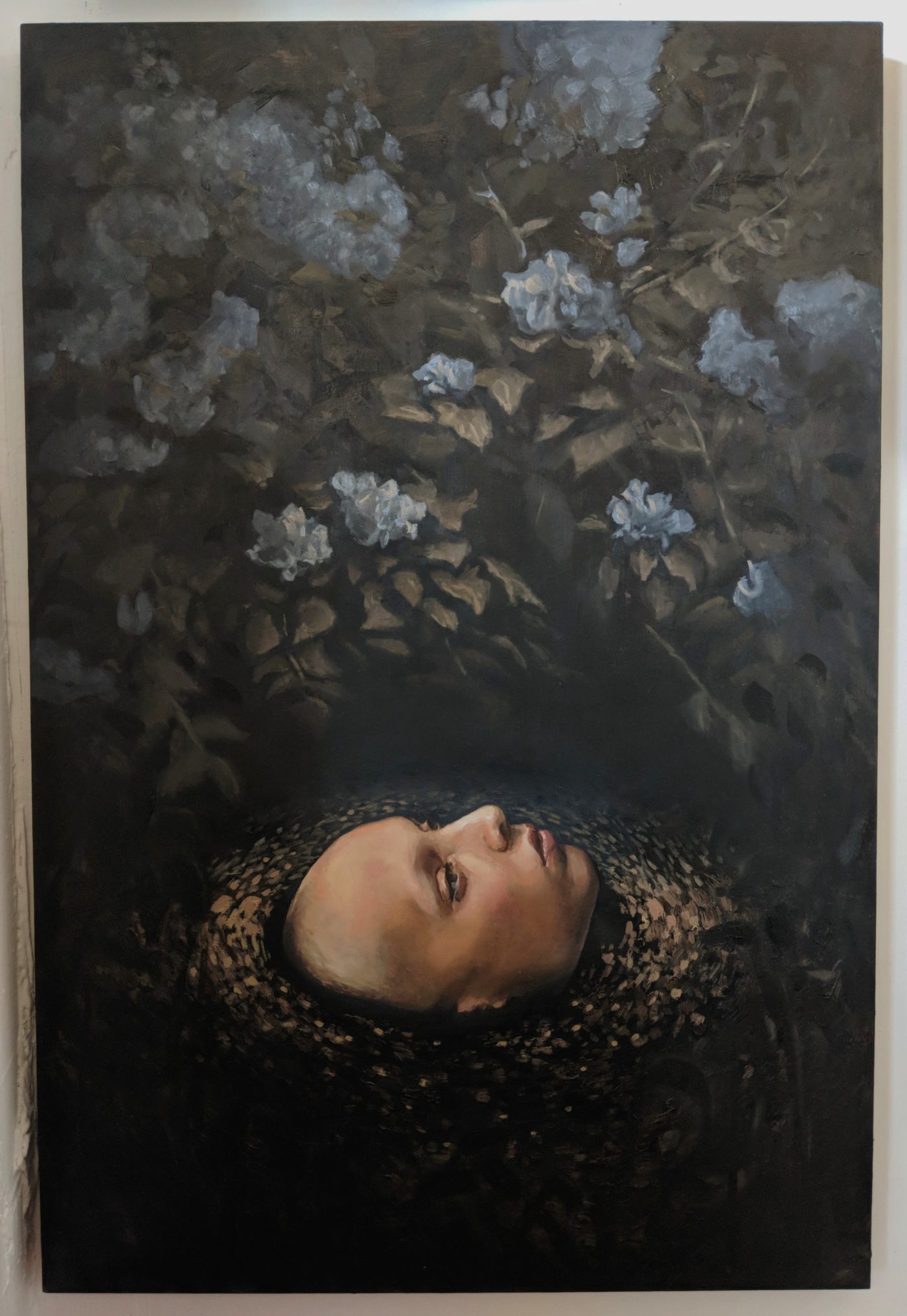 Zach Atticus – Perennials – BOOOOOOOM! – CREATE * INSPIRE * COMMUNITY ...