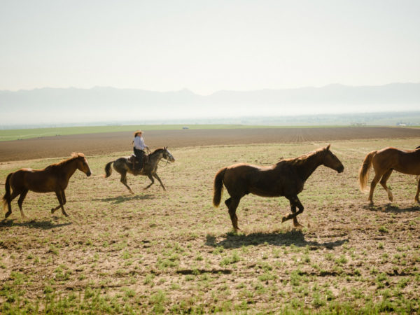 "Round Up" by Benjamin Heath