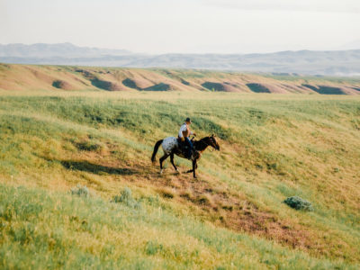"Round Up" by Benjamin Heath