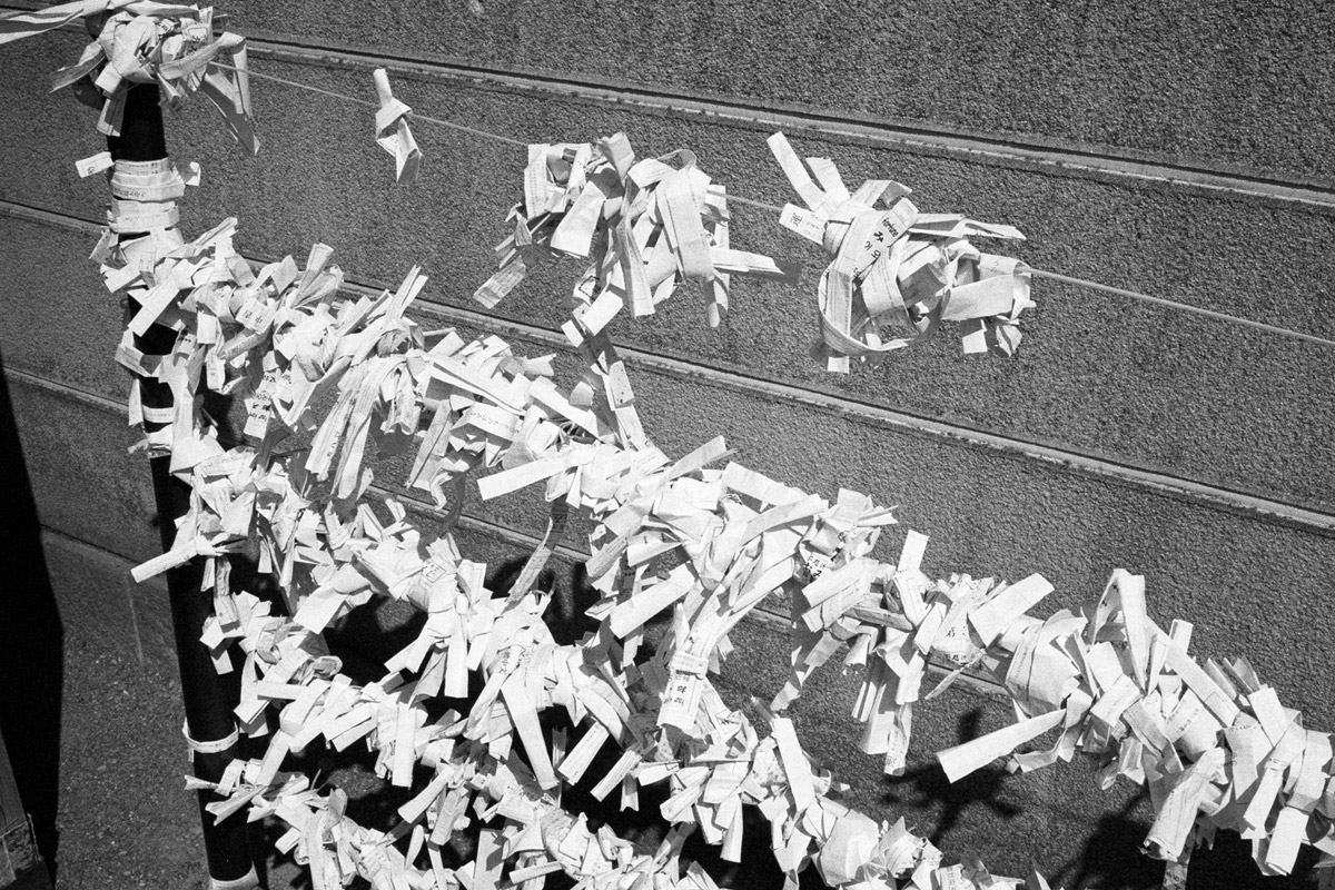 Photographer Spotlight: Matthew James – BOOOOOOOM! – CREATE * INSPIRE ...