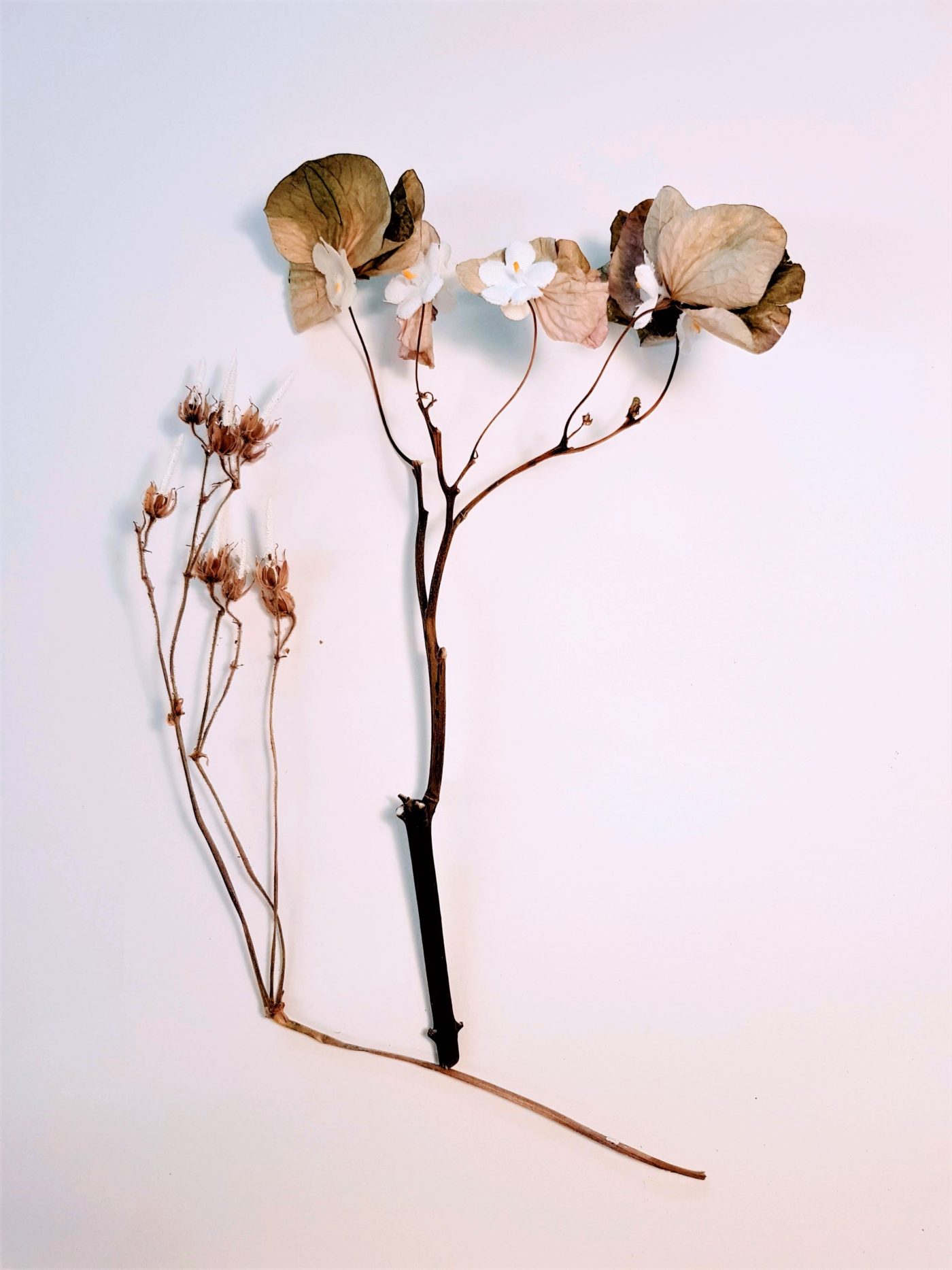 Botanical Remix, Collage and print 100x70cm – BOOOOOOOM! – CREATE ...