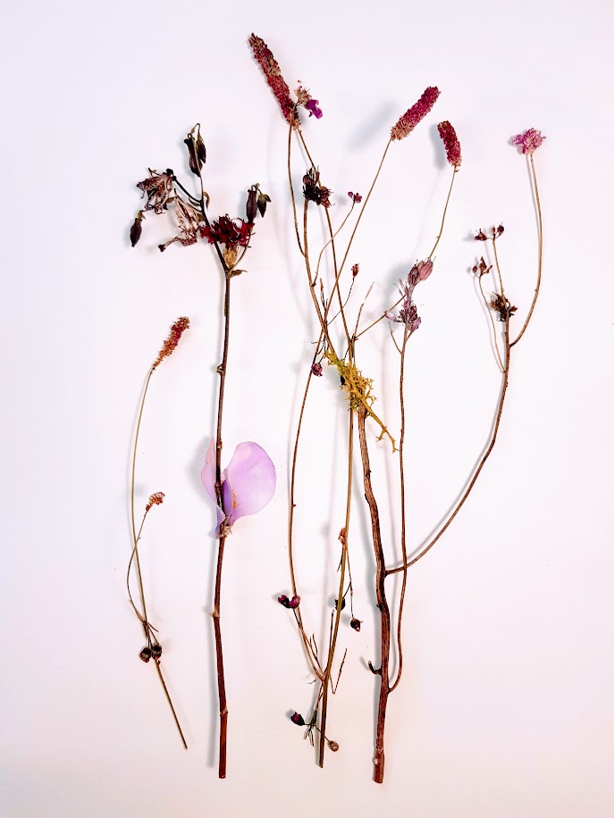 Botanical Remix, Collage and print 100x70cm – BOOOOOOOM! – CREATE ...