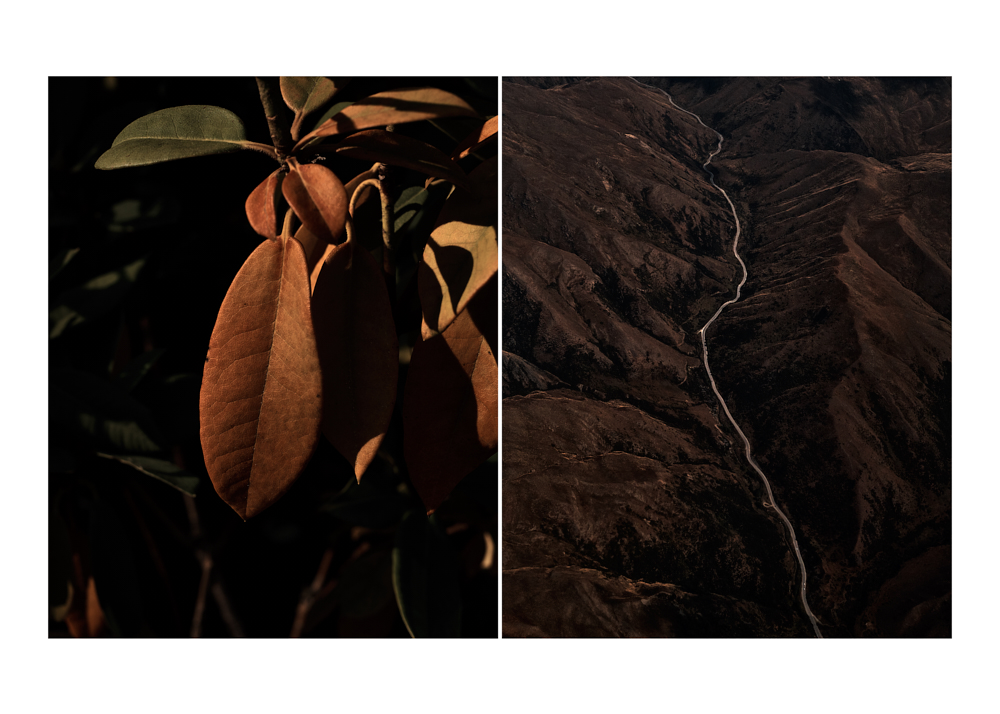 NZ; Textures – BOOOOOOOM! – CREATE * INSPIRE * COMMUNITY * ART * DESIGN ...