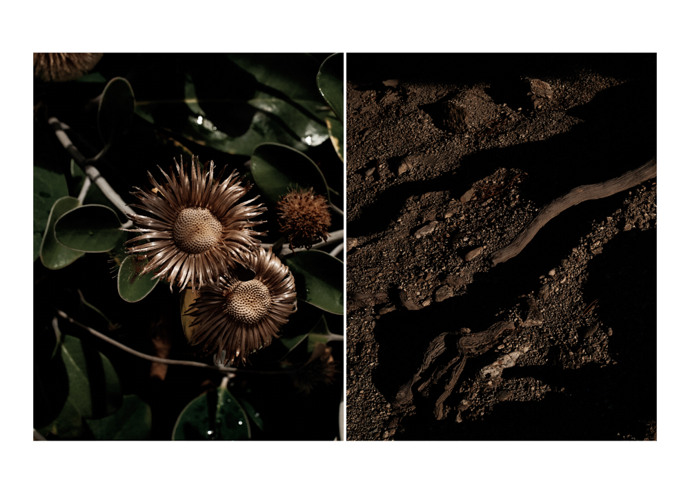 NZ; Textures – BOOOOOOOM! – CREATE * INSPIRE * COMMUNITY * ART * DESIGN ...