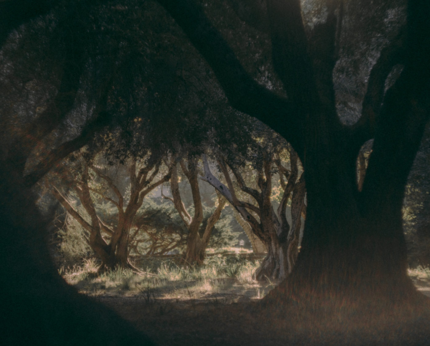 Mount Umunhum – Photo Series – BOOOOOOOM! – CREATE * INSPIRE ...