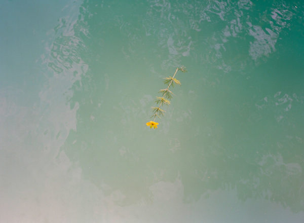 "Annabelle and Sophie" by Photographer Whitney Hayes