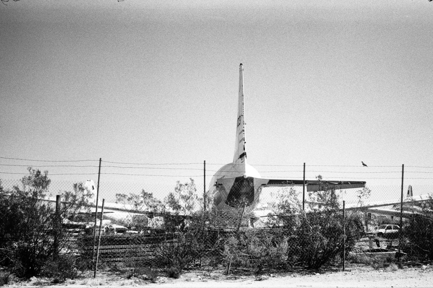 Scorched Earth – BOOOOOOOM! – CREATE * INSPIRE * COMMUNITY * ART ...