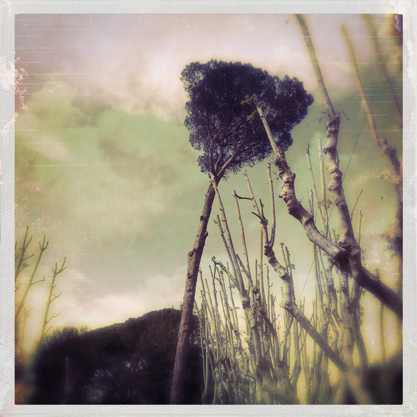 Photographies – BOOOOOOOM! – CREATE * INSPIRE * COMMUNITY * ART ...