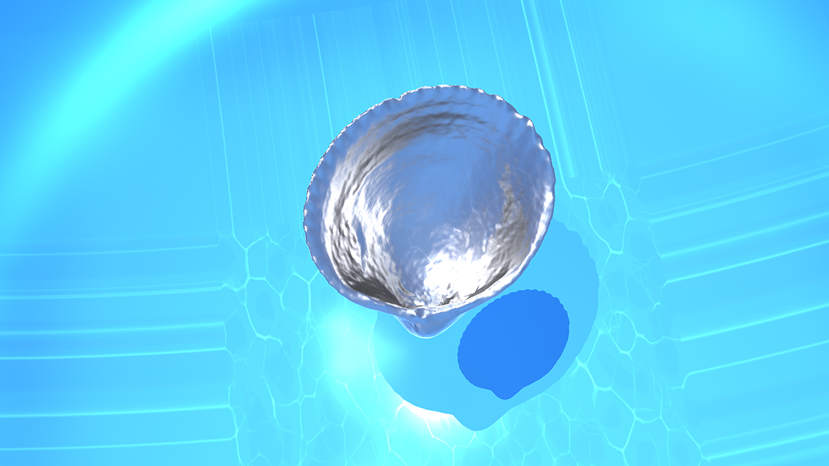 Blue Shell – BOOOOOOOM! – CREATE * INSPIRE * COMMUNITY * ART * DESIGN ...