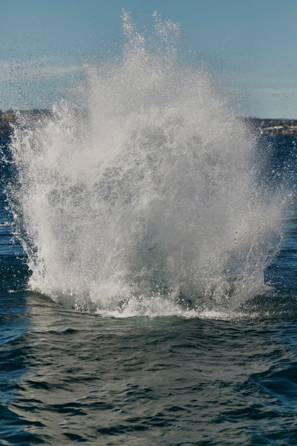 Photographer Spotlight: Ben Clement – BOOOOOOOM! – CREATE * INSPIRE ...