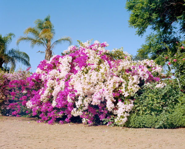 Photographer Spotlight: Kent Andreasen – BOOOOOOOM! – CREATE * INSPIRE ...