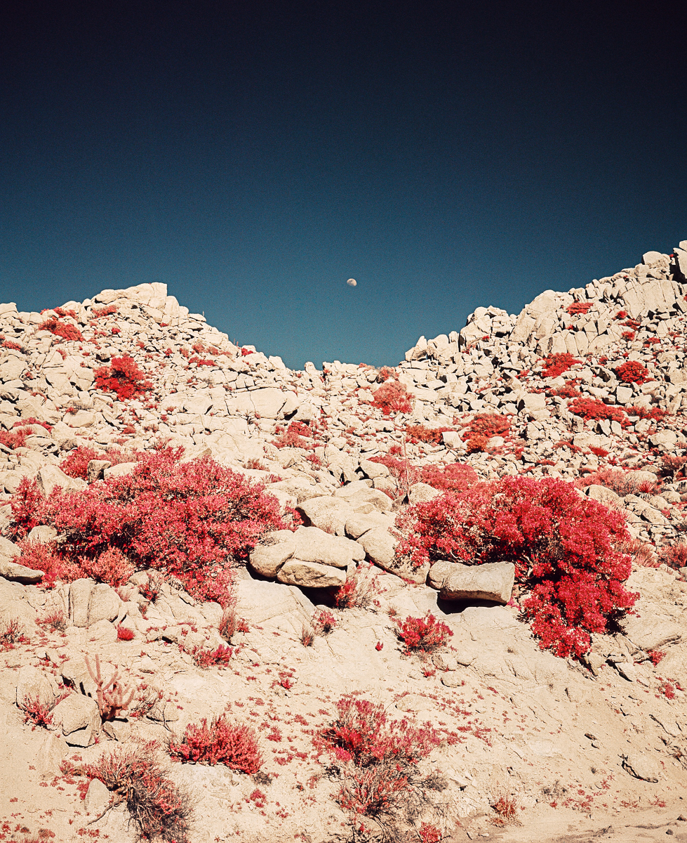 Spectrum Analysis – BOOOOOOOM! – CREATE * INSPIRE * COMMUNITY * ART ...