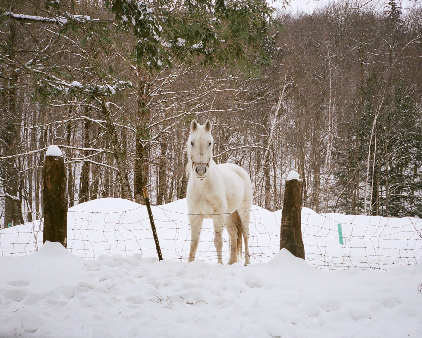 Mid Winter Recess – BOOOOOOOM! – CREATE * INSPIRE * COMMUNITY * ART ...