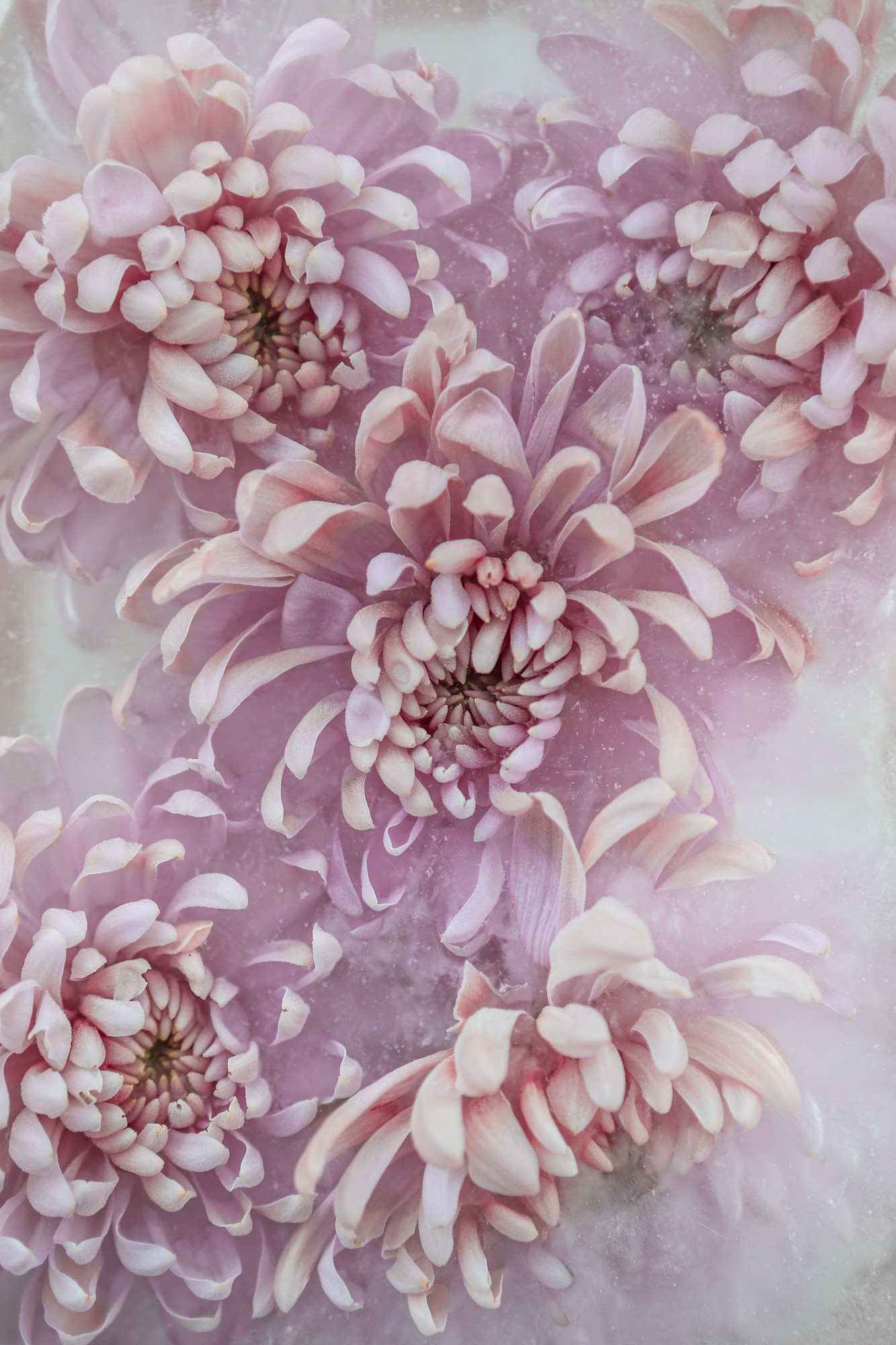 Flower Blocks – BOOOOOOOM! – CREATE * INSPIRE * COMMUNITY * ART ...