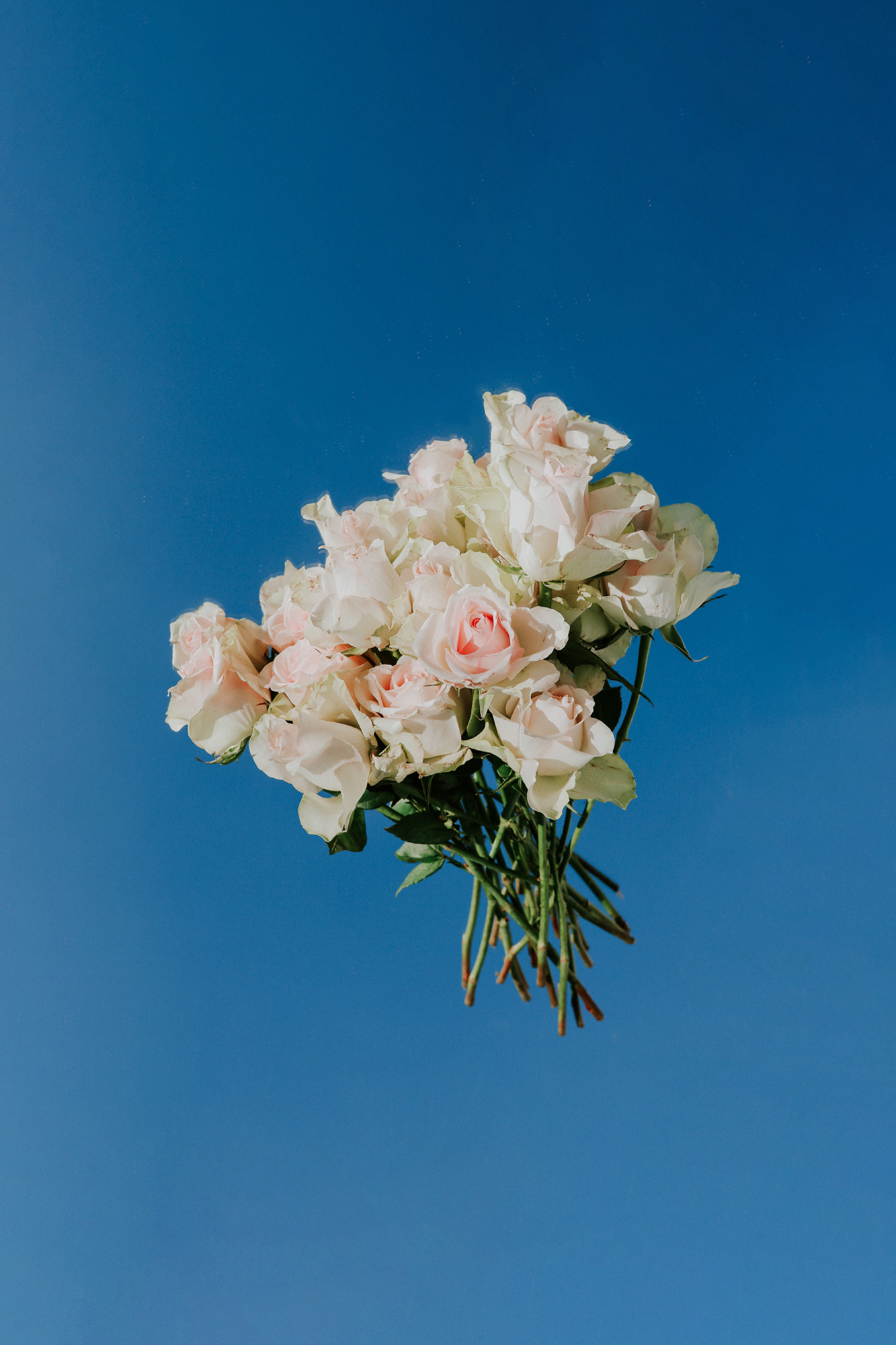 BLOOM – BOOOOOOOM! – CREATE * INSPIRE * COMMUNITY * ART * DESIGN ...