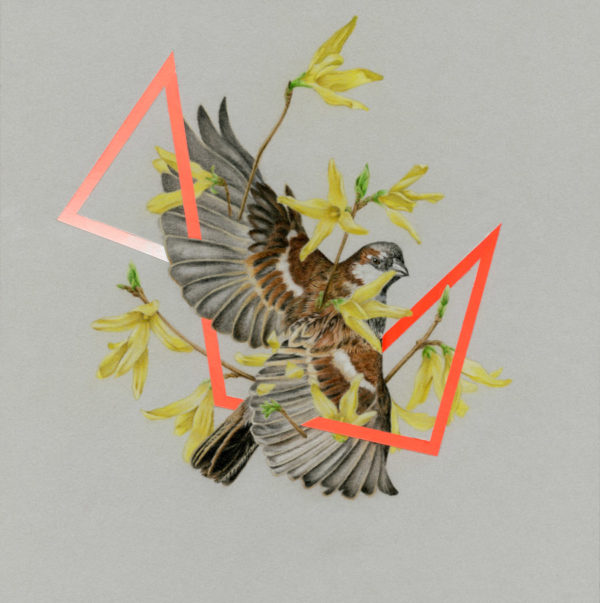 Artist Spotlight: Jessica Tenbusch – BOOOOOOOM! – CREATE * INSPIRE ...