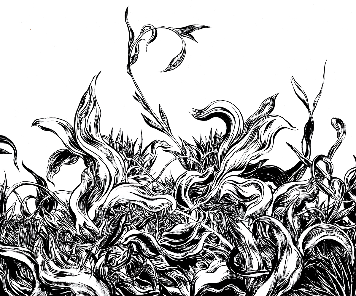 Automatic Drawings – BOOOOOOOM! – CREATE * INSPIRE * COMMUNITY * ART ...