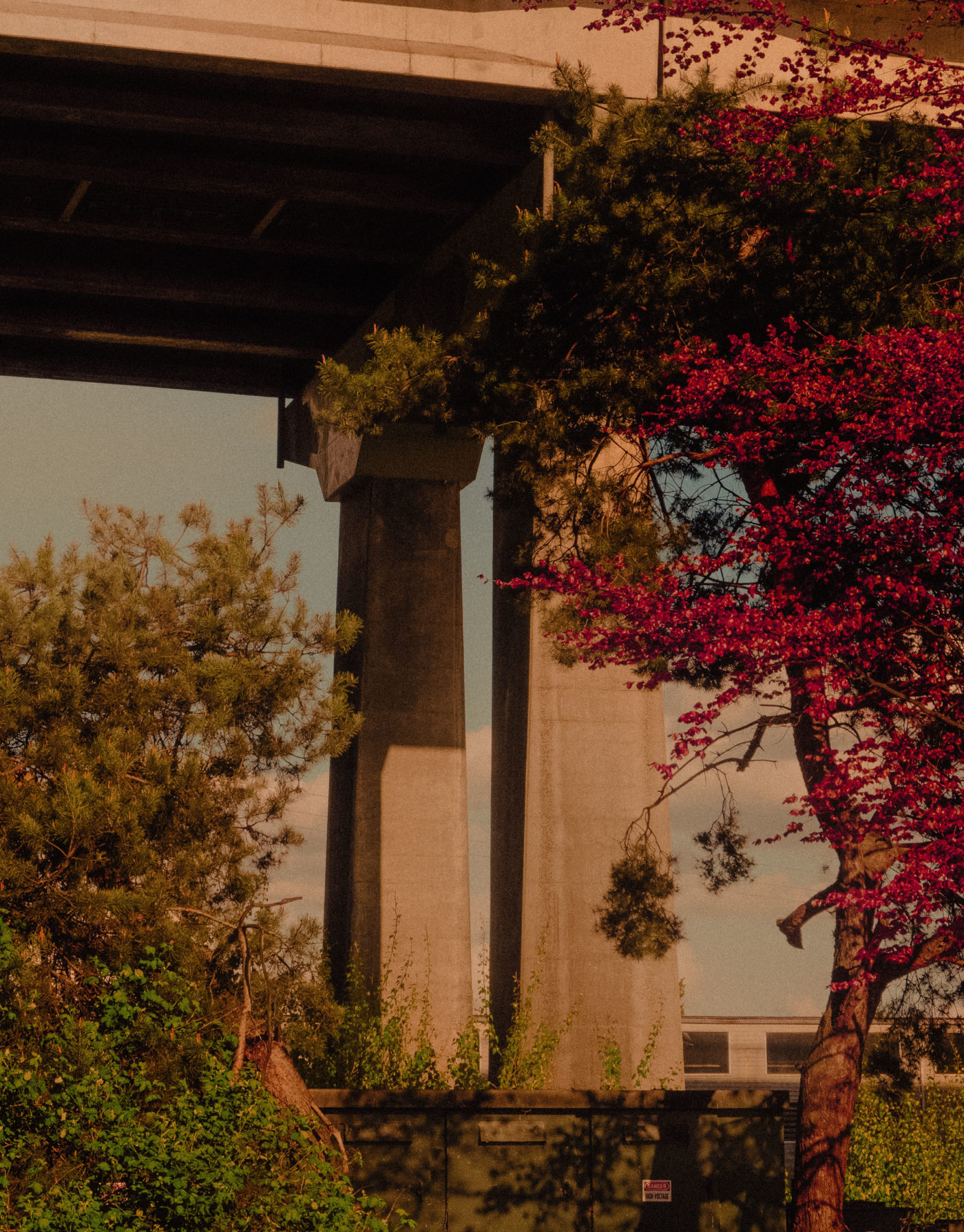 Knight Street Bridge – BOOOOOOOM! – CREATE * INSPIRE * COMMUNITY * ART ...