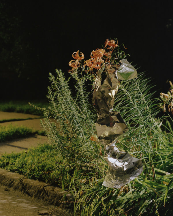 "The World Unravels" by Christopher Beitz