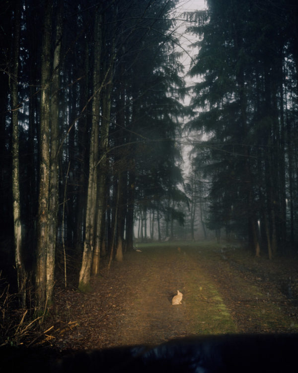 "The World Unravels" by Christopher Beitz