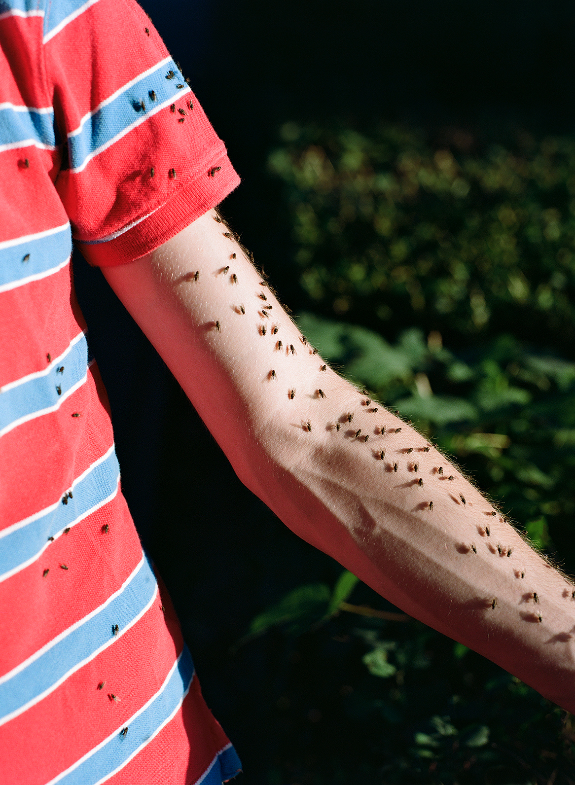 Mathieu Teissier – BOOOOOOOM! – CREATE * INSPIRE * COMMUNITY * ART * DESIGN * MUSIC * FILM ...