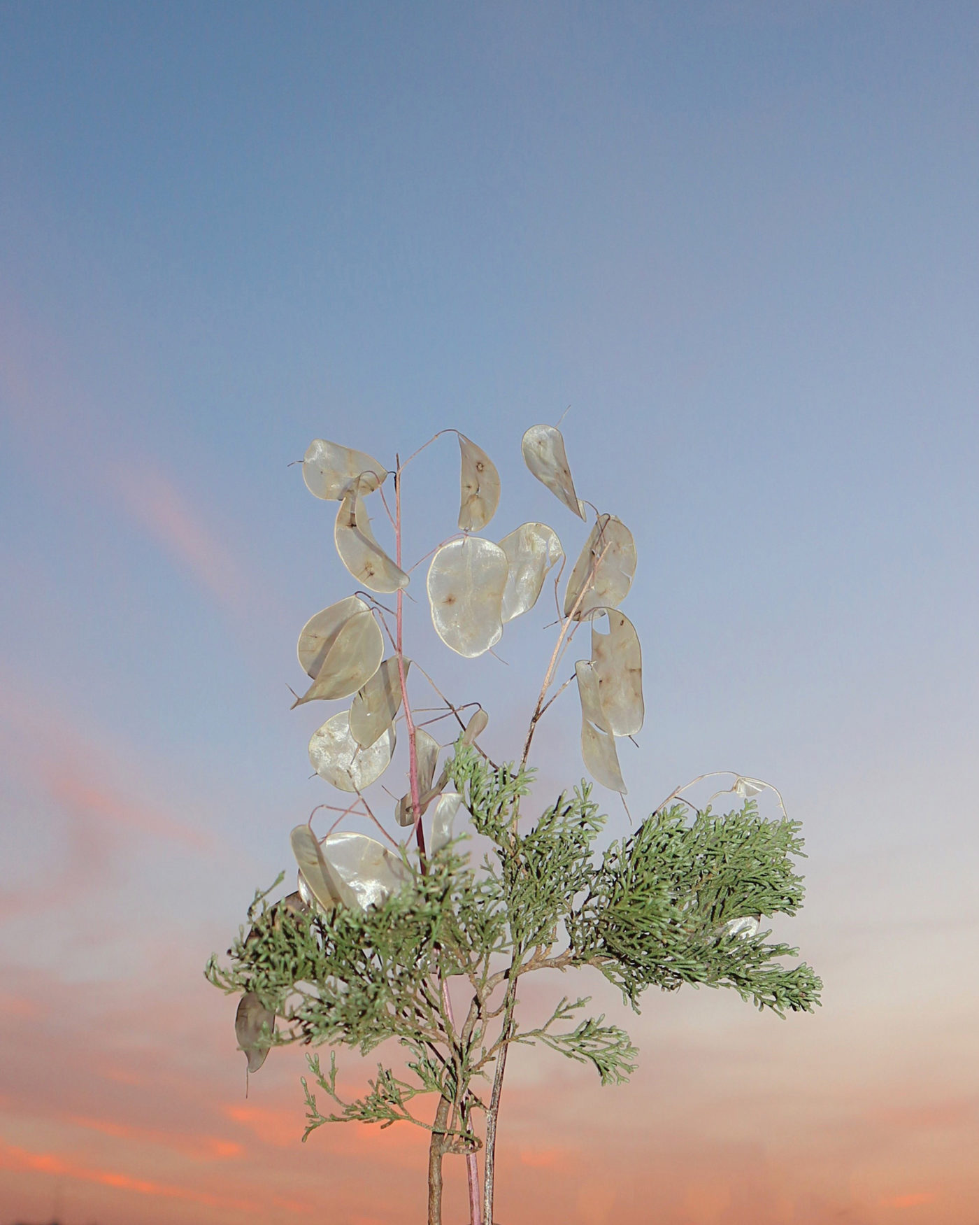 Dear light – BOOOOOOOM! – CREATE * INSPIRE * COMMUNITY * ART * DESIGN ...