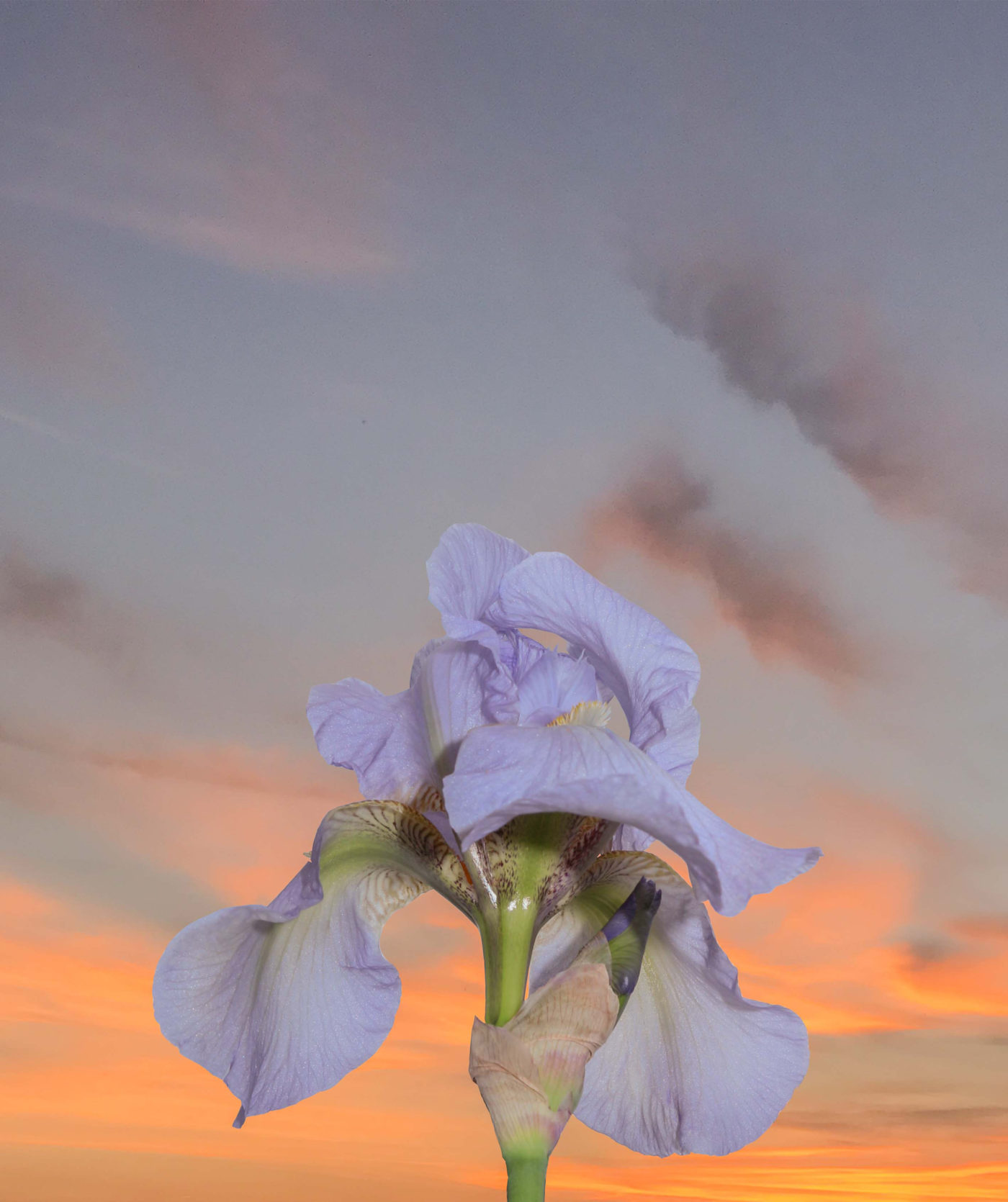 Dear light – BOOOOOOOM! – CREATE * INSPIRE * COMMUNITY * ART * DESIGN ...