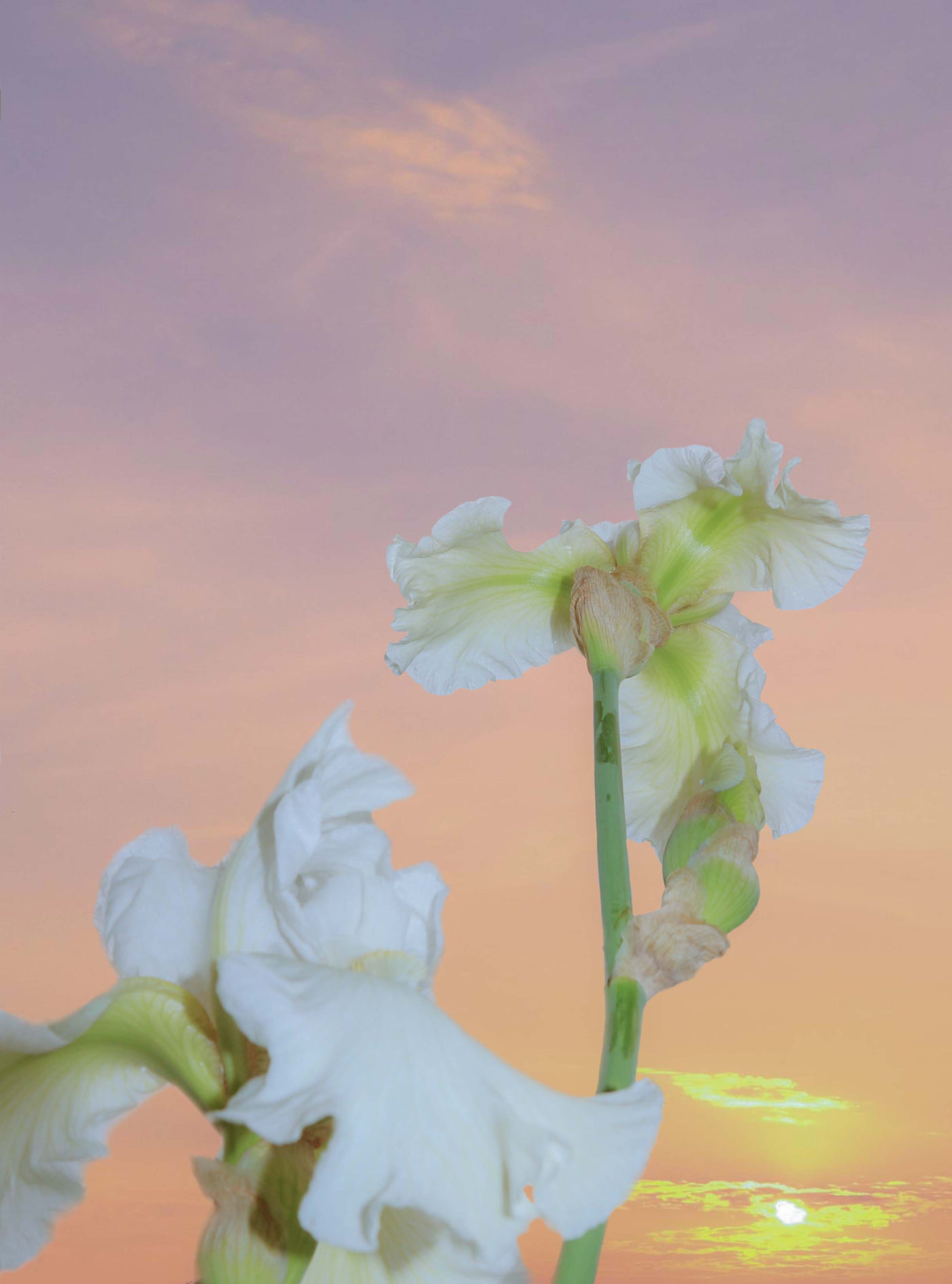 Dear light – BOOOOOOOM! – CREATE * INSPIRE * COMMUNITY * ART * DESIGN ...