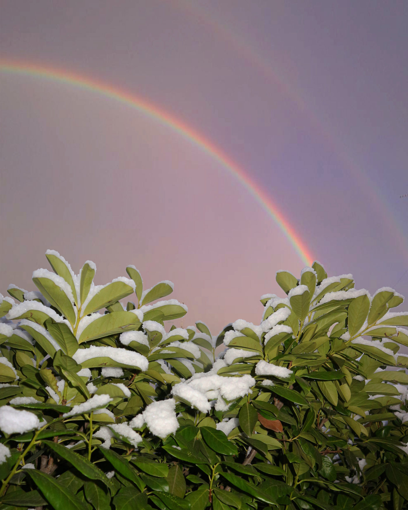 Dear light – BOOOOOOOM! – CREATE * INSPIRE * COMMUNITY * ART * DESIGN ...