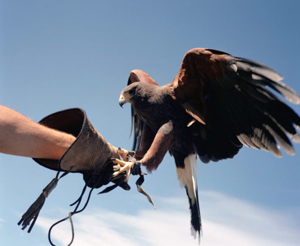 Photographer Spotlight: Robin Bernstein – BOOOOOOOM! – CREATE * INSPIRE ...