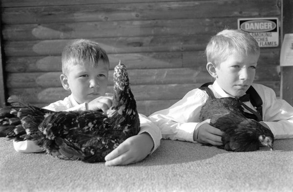 "The Way West" by Photographer Peter Kayafas