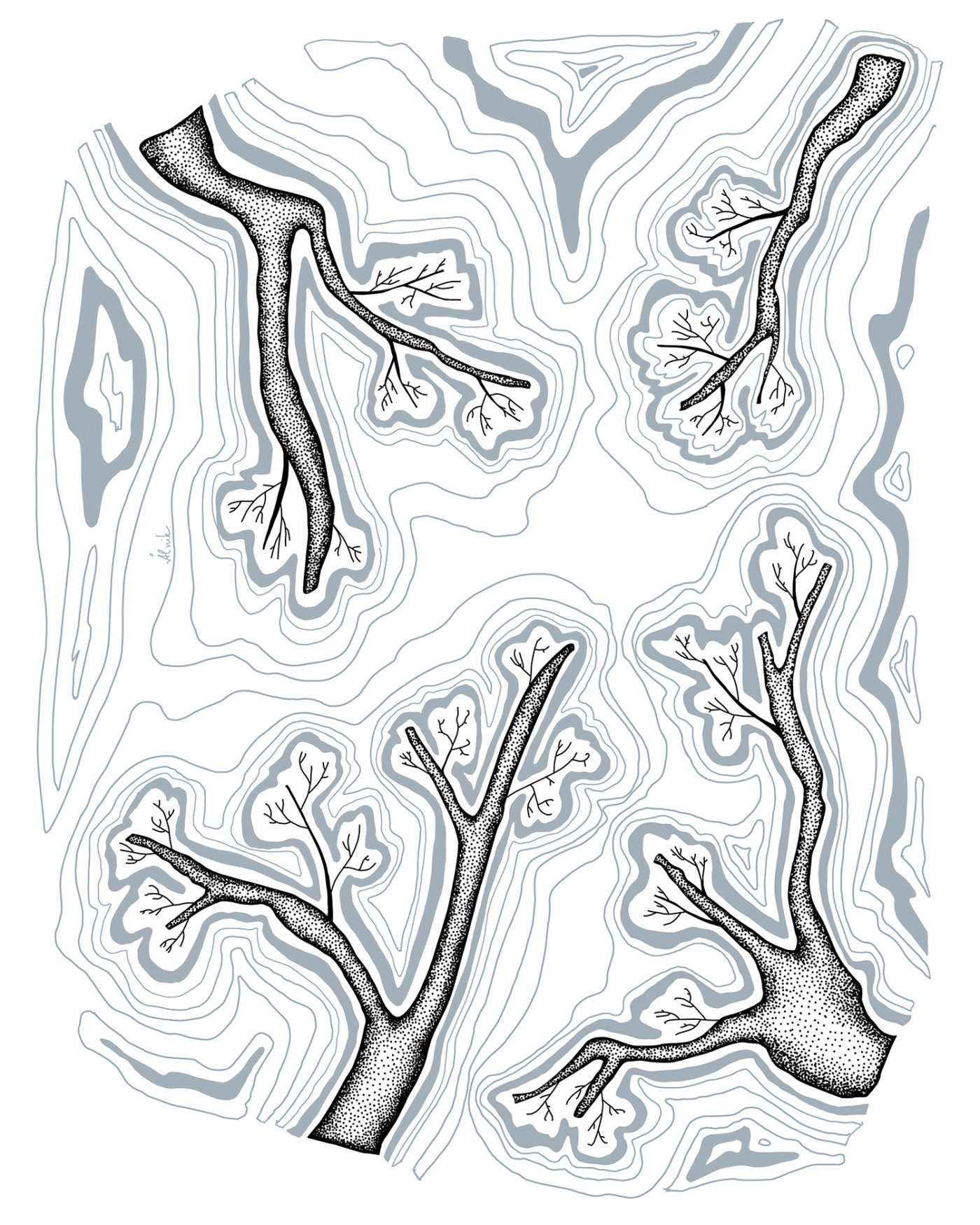 Crown Shyness – BOOOOOOOM! – CREATE * INSPIRE * COMMUNITY * ART ...