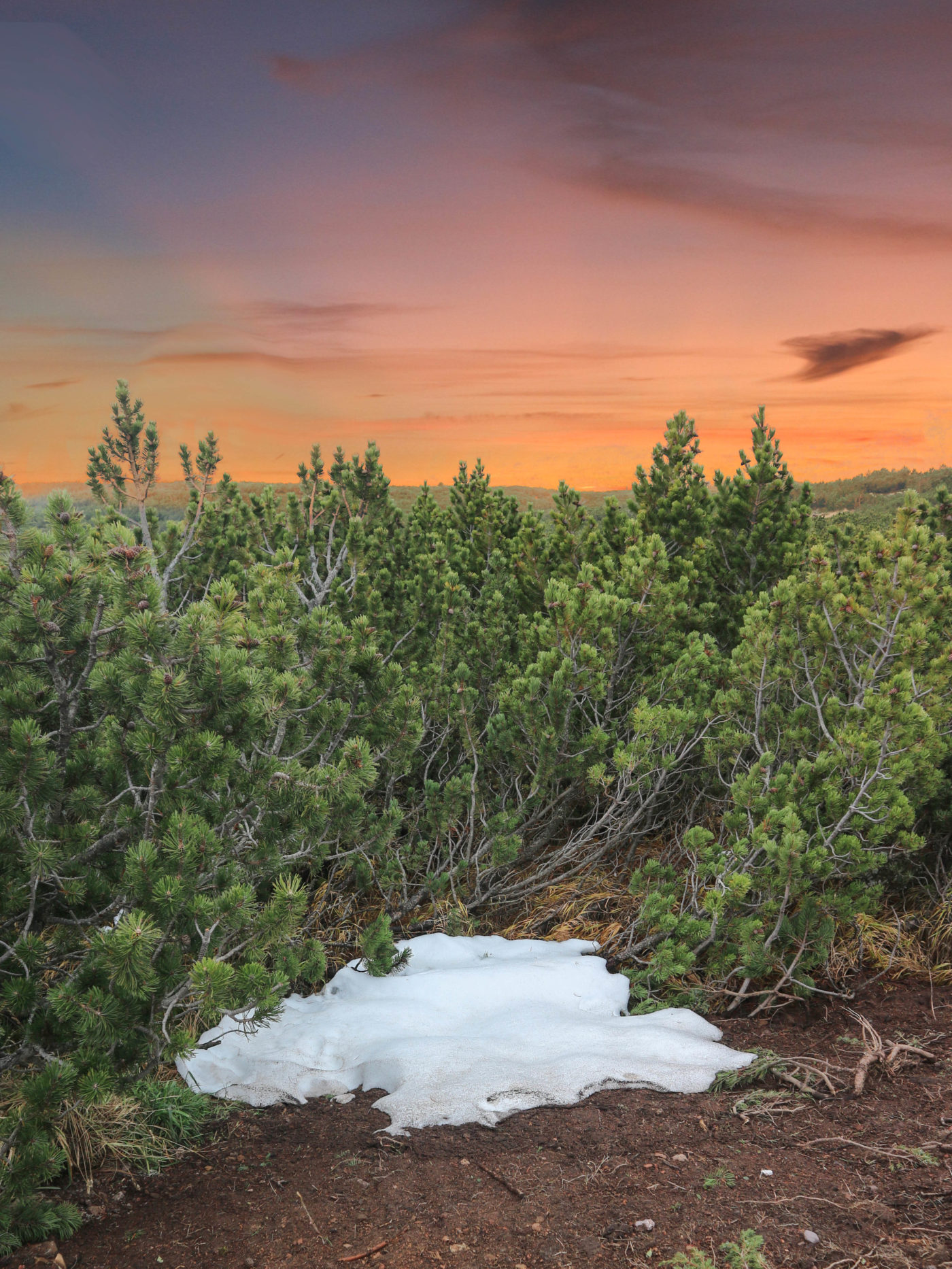 Dear Light 2020 – BOOOOOOOM! – CREATE * INSPIRE * COMMUNITY * ART ...