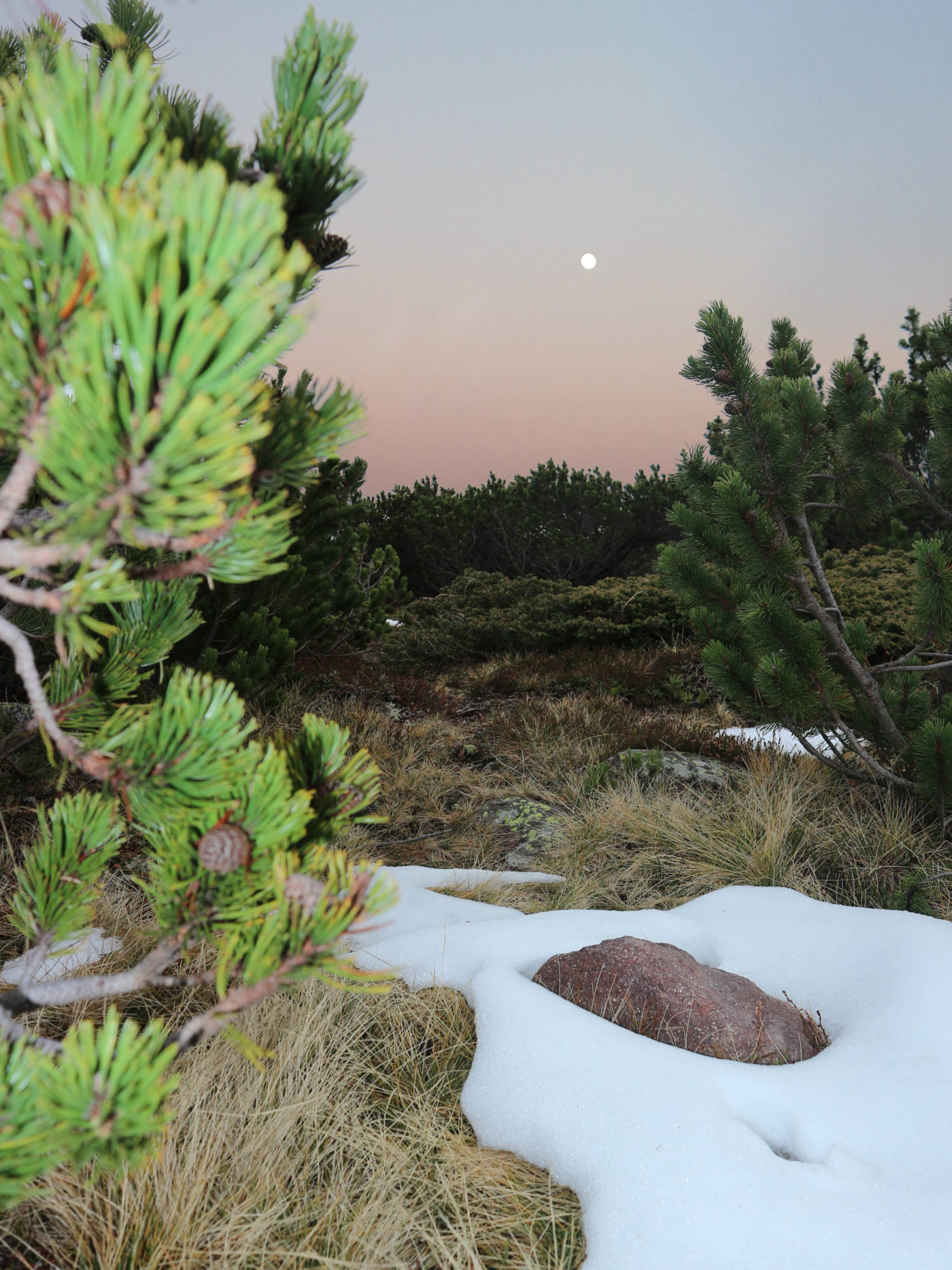 Dear Light 2020 – BOOOOOOOM! – CREATE * INSPIRE * COMMUNITY * ART ...