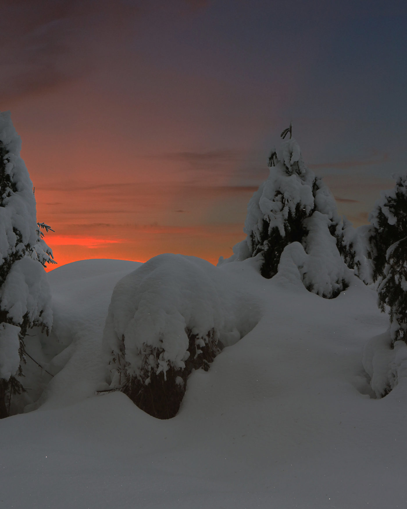 Dear Light 2020 – BOOOOOOOM! – CREATE * INSPIRE * COMMUNITY * ART ...