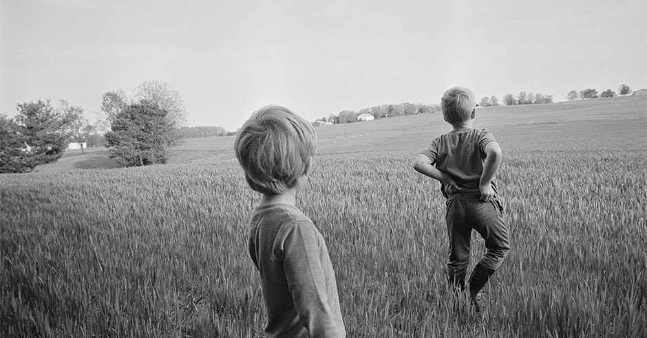 "The Locusts" by Photographer Lesse Lenz