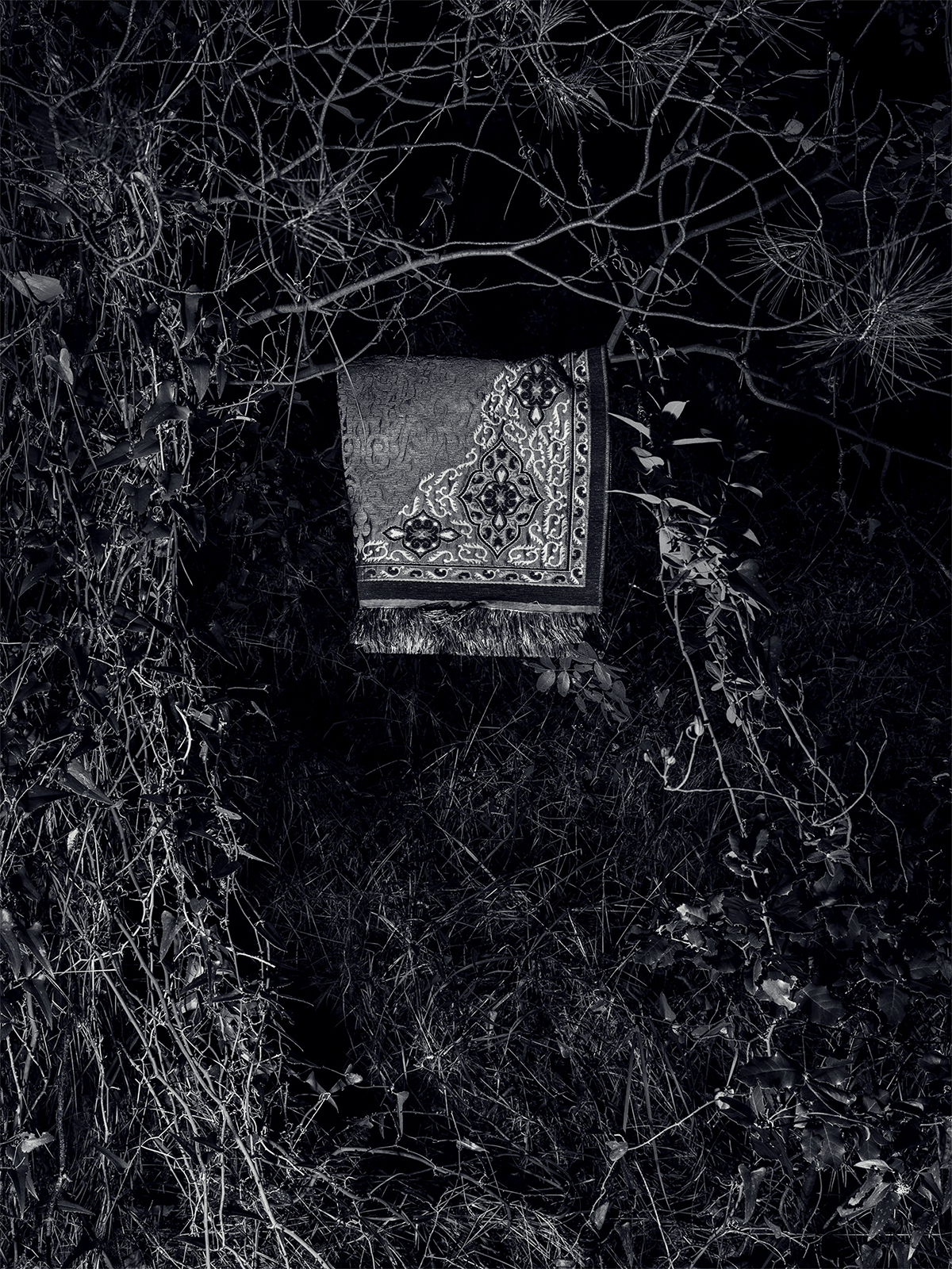 Deadly Path – BOOOOOOOM! – CREATE * INSPIRE * COMMUNITY * ART * DESIGN ...