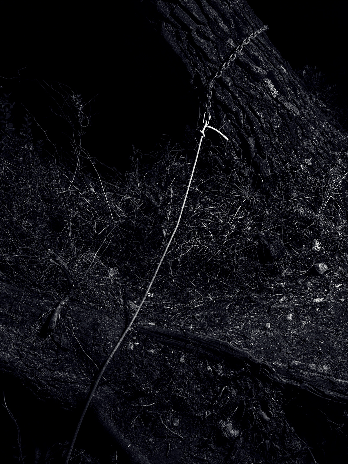 Deadly Path – BOOOOOOOM! – CREATE * INSPIRE * COMMUNITY * ART * DESIGN ...