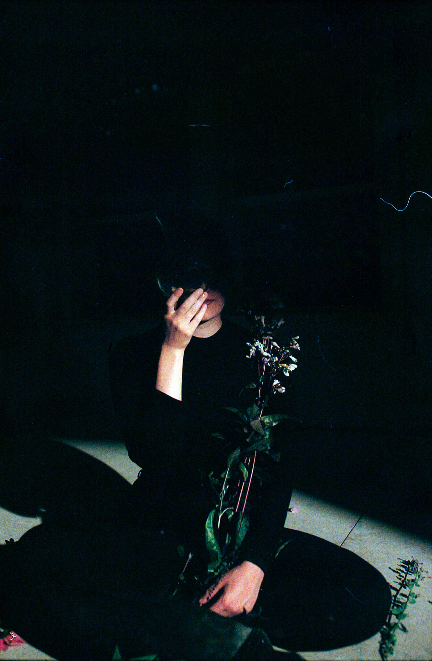 Stay – Alex Rapp Shadows and Light – BOOOOOOOM! – CREATE * INSPIRE ...