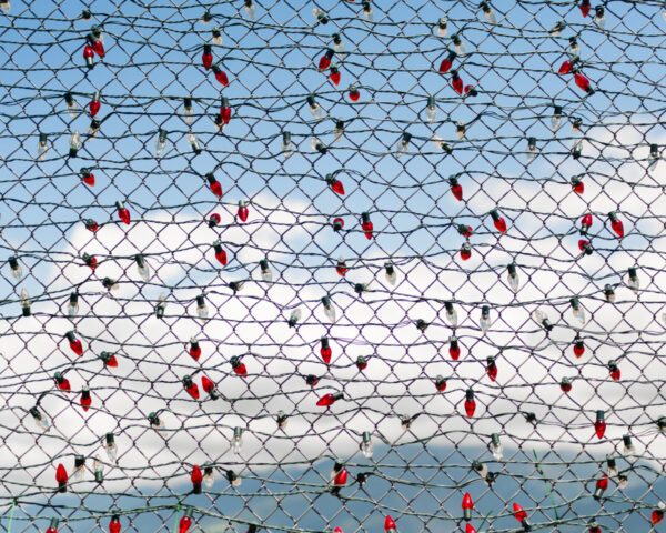 "Wide Eyed" by Photographer Jon Horvath