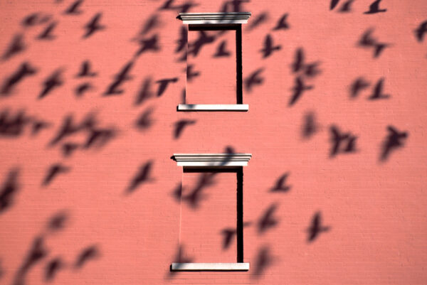 Photographer Spotlight: Eric Kogan – BOOOOOOOM! – CREATE * INSPIRE ...