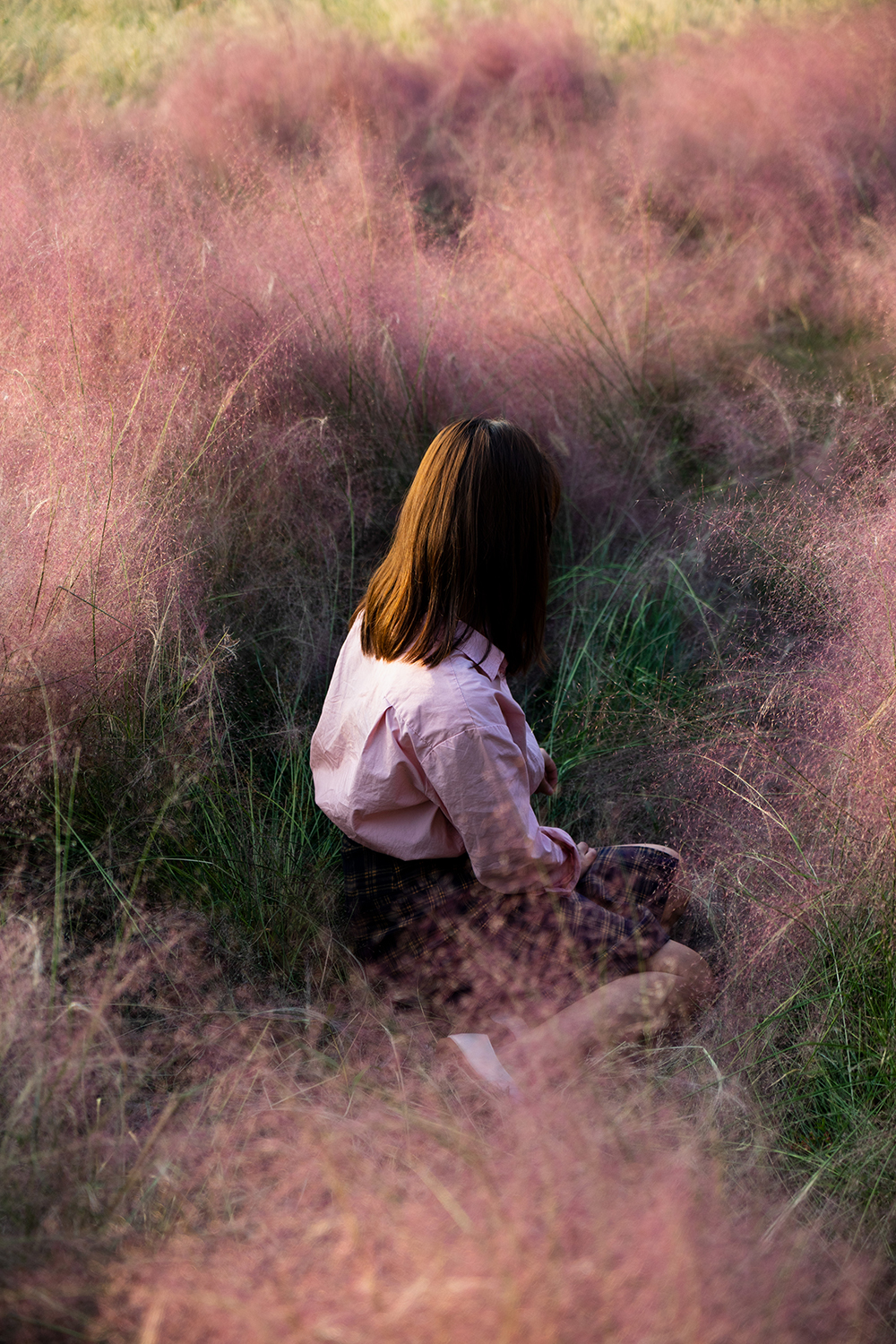 Muhlenbergia – BOOOOOOOM! – CREATE * INSPIRE * COMMUNITY * ART * DESIGN ...