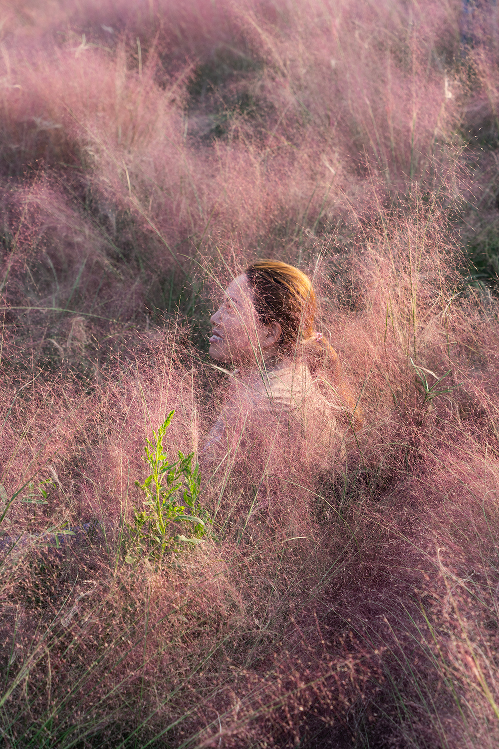 Muhlenbergia – BOOOOOOOM! – CREATE * INSPIRE * COMMUNITY * ART * DESIGN ...