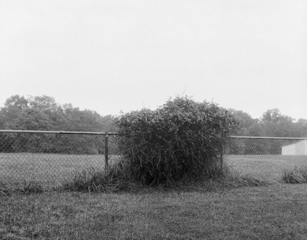 Photographer Spotlight: Taj Reed – BOOOOOOOM! – CREATE * INSPIRE ...